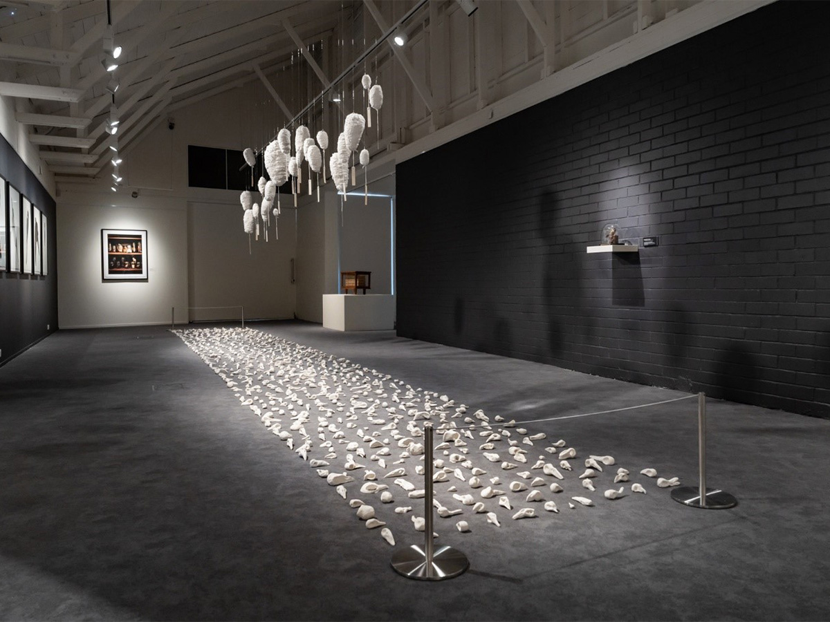 Flying Arts Residency - Christina Lowry - Tanks